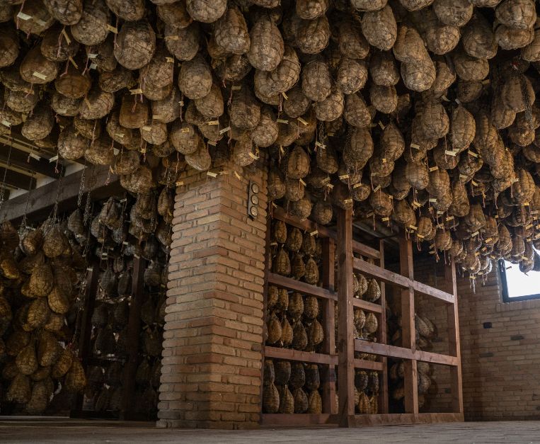 Si sta come i culatelli di Zibello appesi nella cantina di un ...