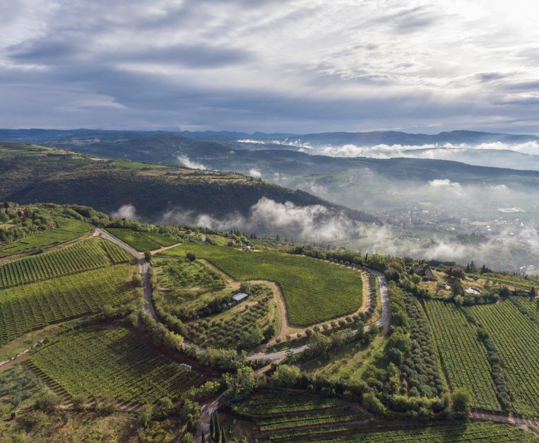 Allegrini • Food and Wine Italia