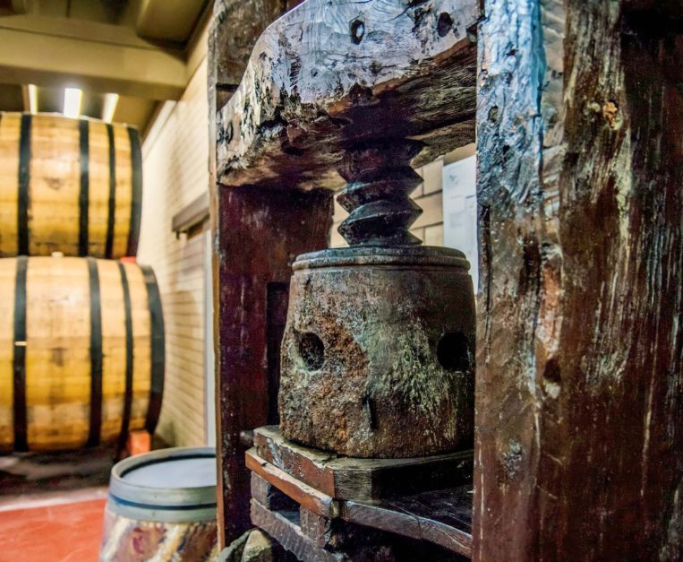Cantina Tollo • Food and Wine Italia