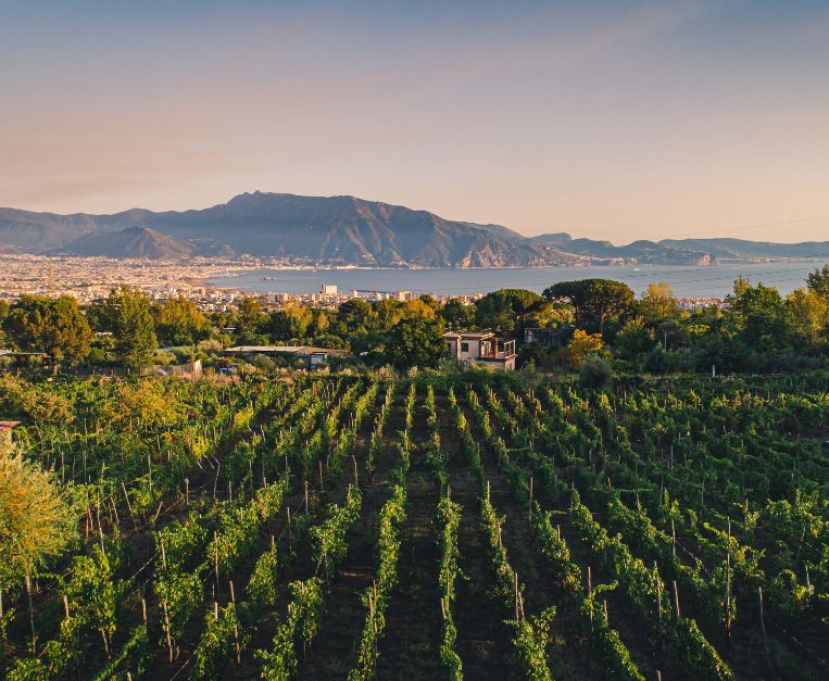 Casa Setaro • Food and Wine Italia